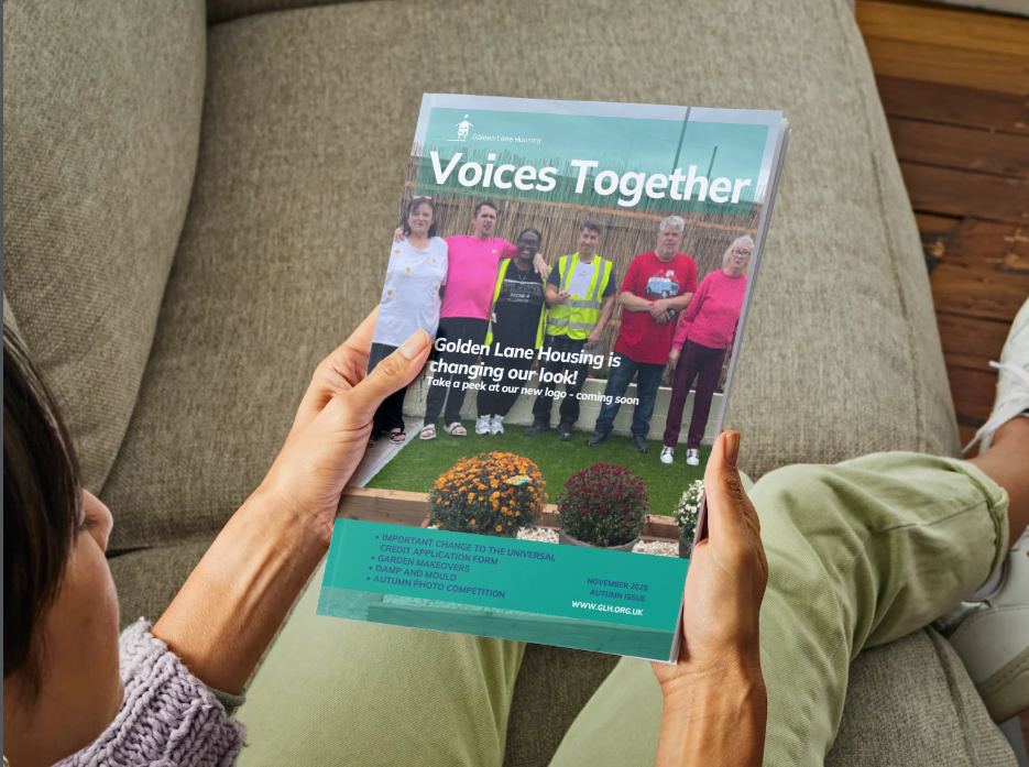 Publications and reports – Golden Lane Housing